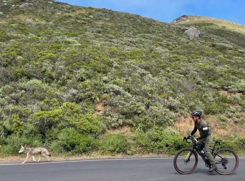 San Francisco: Marin Headlands Gravel Biking Tour +GG Bridge - Food, Drinks, and Rest Stops