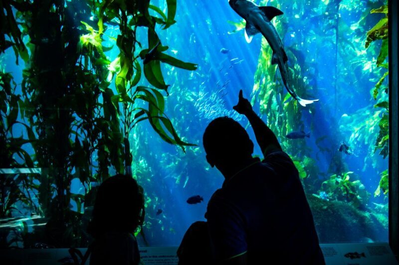 San Francisco: Monterey and Carmel Day Tour - FAQ