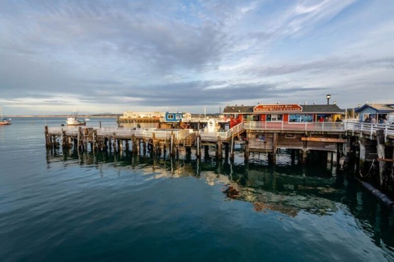 San Francisco: Monterey and Carmel Tour - Who Is This Tour Best For?