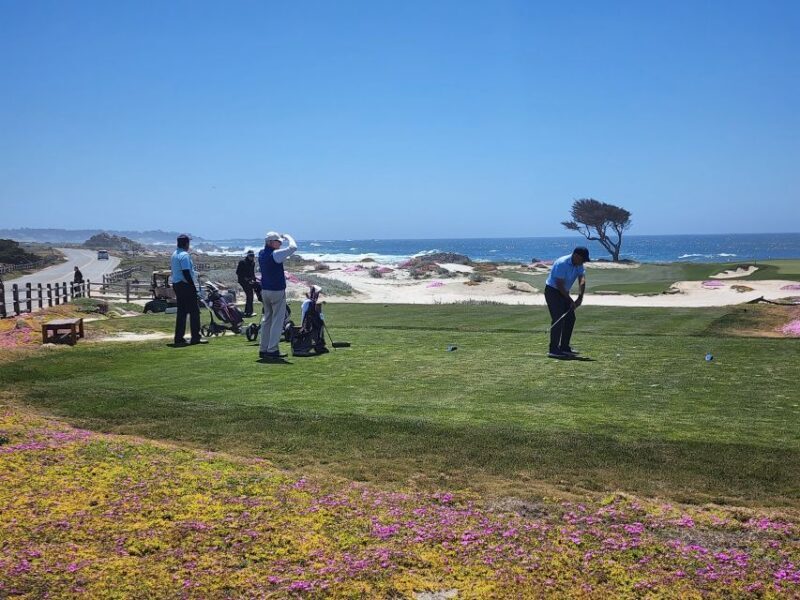 San Francisco: Monterey, Aquarium, and Carmel Private Tour - Who Should Consider This Tour?