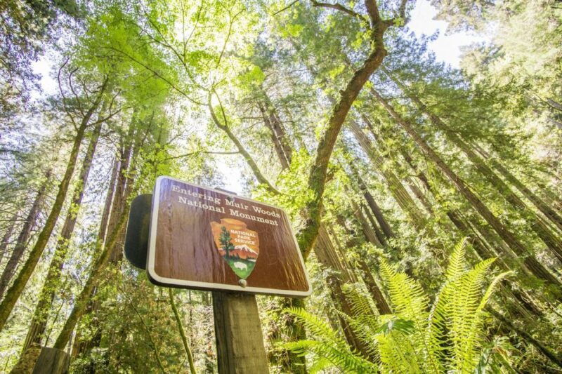 San Francisco: Muir Woods and Sausalito Experience - What the Tour Includes and What You Should Know