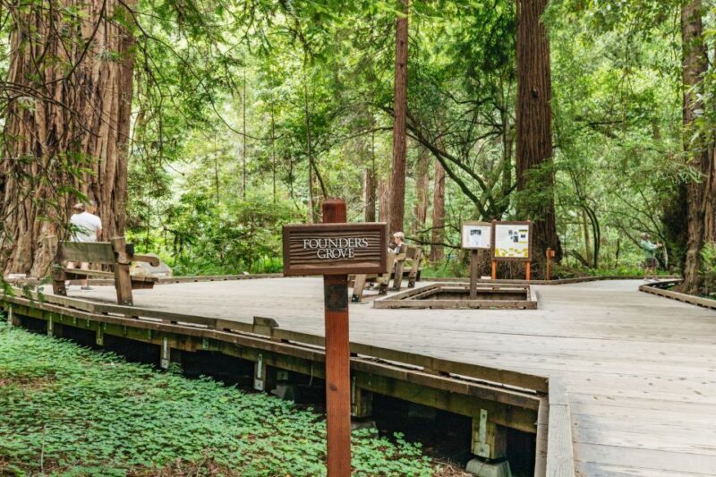 San Francisco: Muir Woods and Sausalito Small-Group Tour - The Sum Up