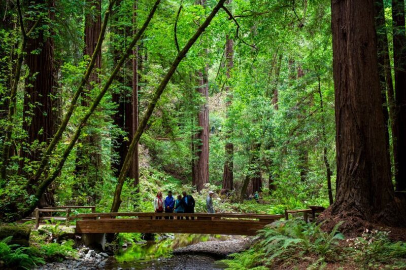 San Francisco: Muir Woods and Sausalito Tour with Admission - Who Is This Tour Best For?