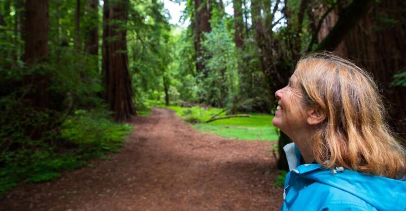 San Francisco: Muir Woods and Sausalito Tour with Admission - A Closer Look at the Tour Experience