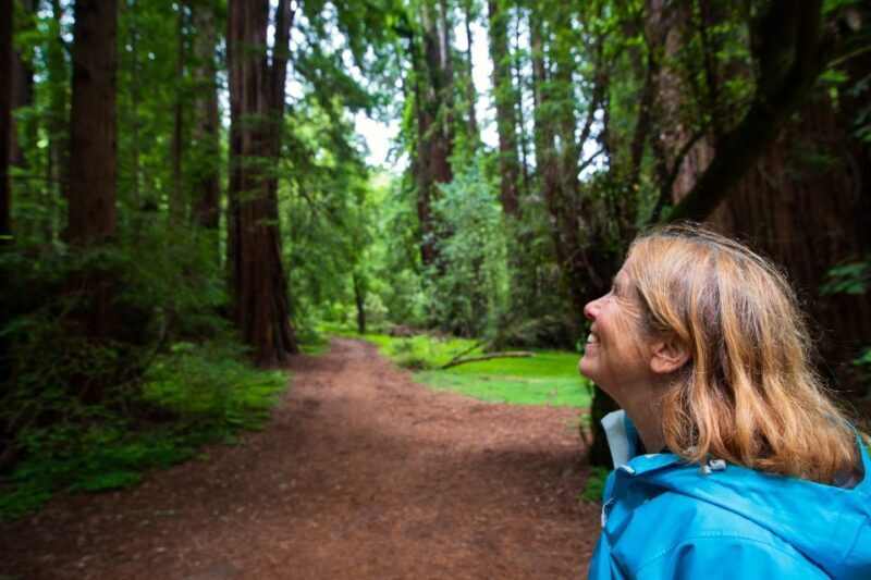 San Francisco: Muir Woods and Sausalito Tour with Admission - Who Will Enjoy This Tour?