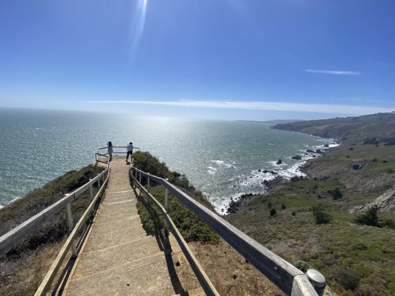 San Francisco: Muir Woods Giant Redwoods & City Private Tour - What to Expect and Practical Tips