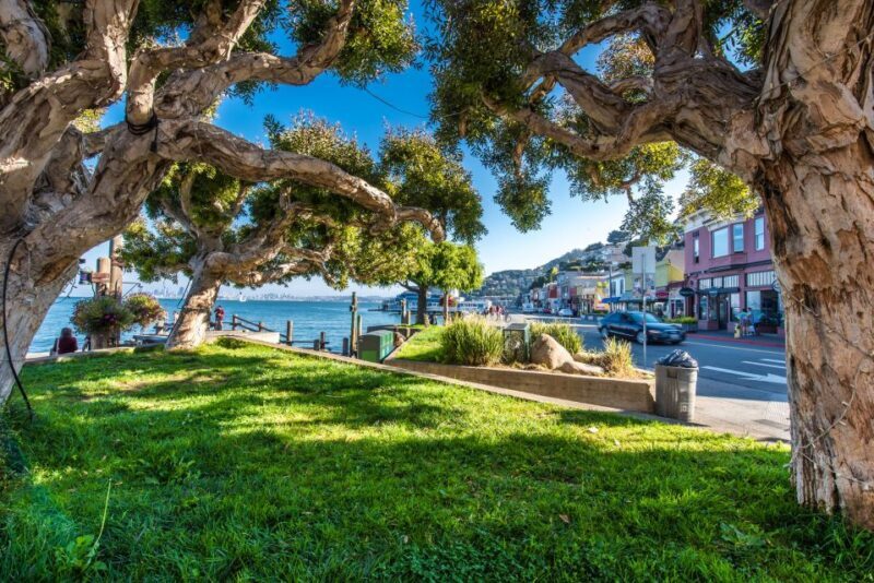 San Francisco: Muir Woods, San Francisco and Sausalito Tour - FAQs