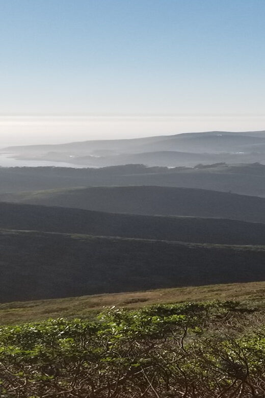 San Francisco: Muir Woods, Sausalito, and Sonoma Wine Tour - Who Should Consider This Tour?