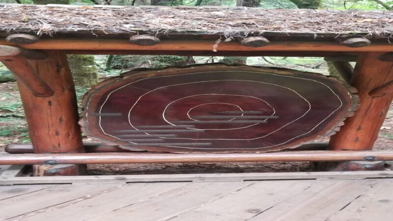San Francisco: Muir Woods, Sausalito, and Sonoma Wine Tour - FAQs