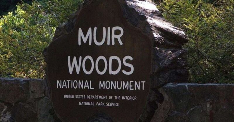 San Francisco: Muir Woods, Sausalito, and Tiburon Day Trip - Introduction