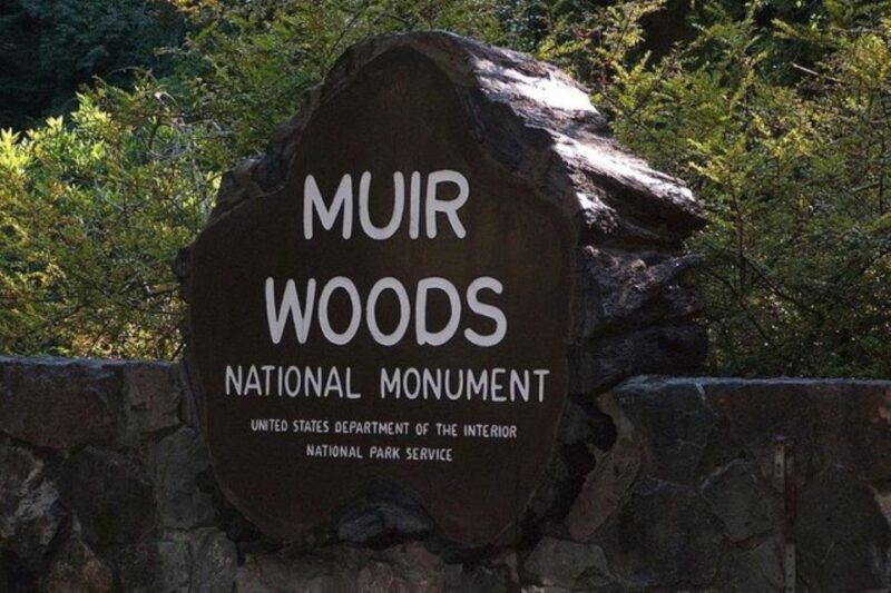 San Francisco: Muir Woods, Sausalito, and Tiburon Day Trip - Who Will Love This Tour?