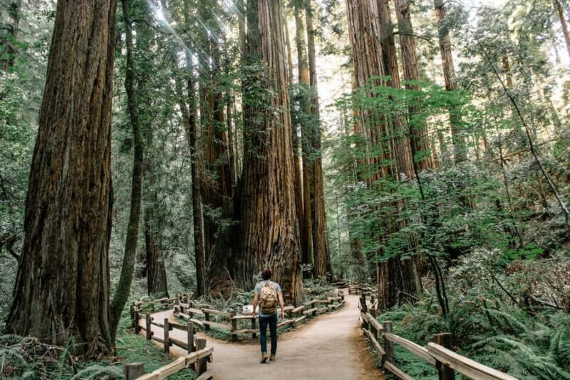 San Francisco: Muir Woods, Sausalito, & Battery Spencer Tour - Who Is This Tour Best For?