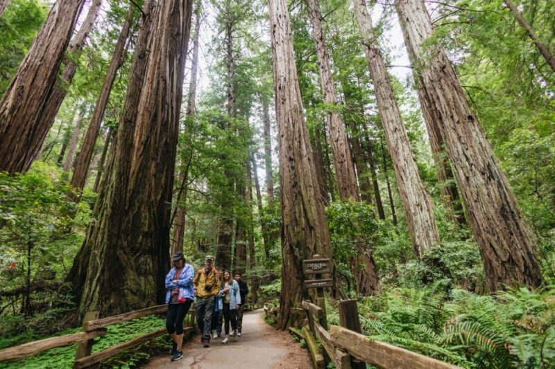 San Francisco: Muir Woods & Sausalito Tour with Ferry Option - The Sum Up: Who Will Love This Tour?