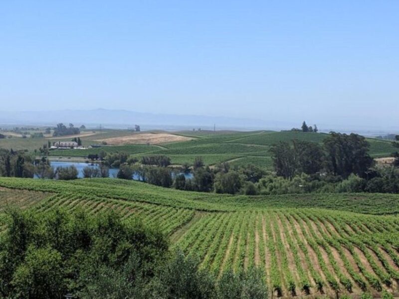 San Francisco: Napa and Sonoma Valley Private Wine Tour - The Experience: What to Expect on This Wine Journey