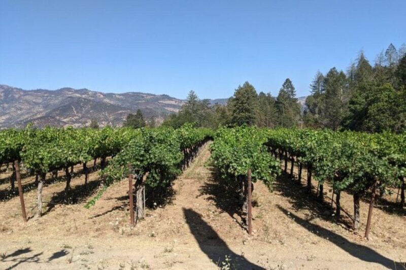 San Francisco: Napa and Sonoma Valley Private Wine Tour - Price and Value: Is it Worth It?