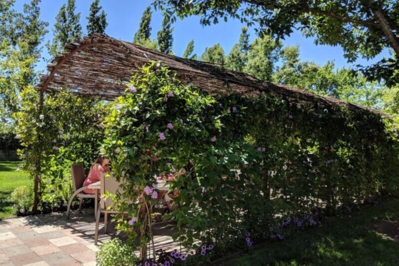 San Francisco: Napa and Sonoma Valley Private Wine Tour - Authentic Experiences and Traveler Feedback