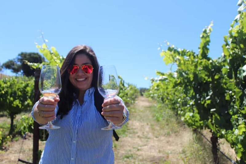 San Francisco: Napa and Sonoma Valley Wine Tour - Key Points