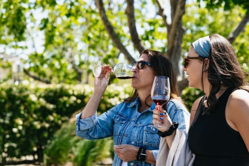 San Francisco: Napa and Sonoma Valley Wine Tour - The Scenic Drive and Photo Stops
