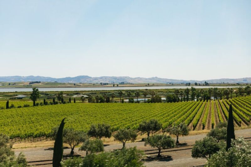 San Francisco: Napa and Sonoma Valley Wine Tour - Group Size and Tour Flexibility