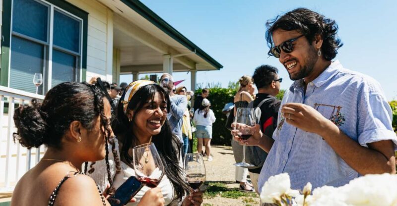 San Francisco: Napa and Sonoma Valley Wine Tour - A Deep Dive into the Napa and Sonoma Experience