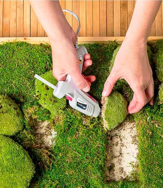 San Francisco Photo Tour with a Private Photographer - What Is This Tour All About?