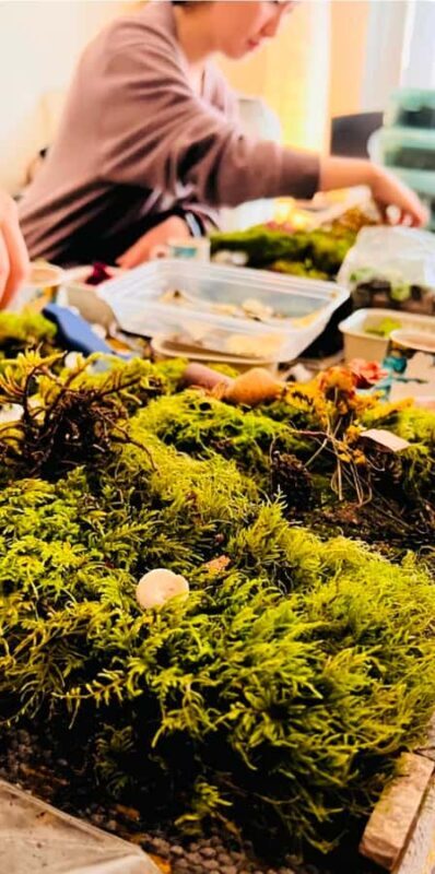 San Francisco Photo Tour with a Private Photographer - What to Expect During Your Session