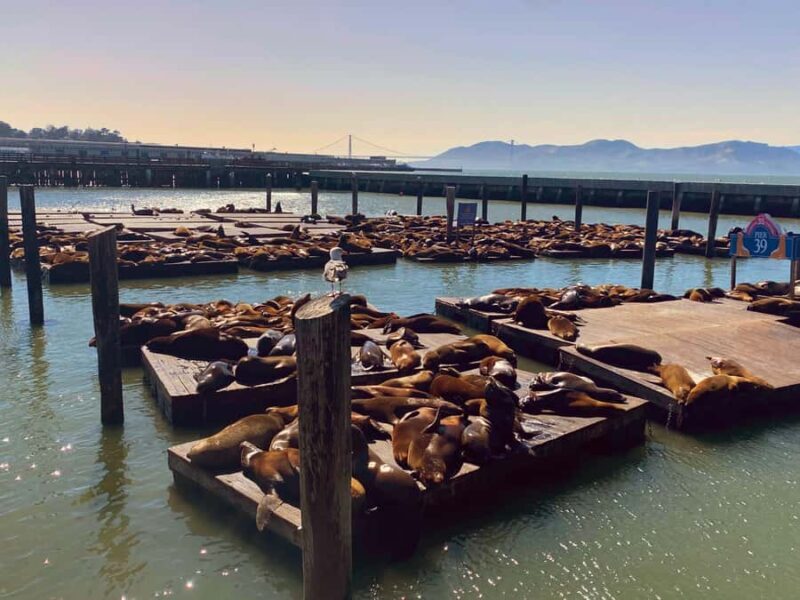 San Francisco Private Custom Tour - Why Choose This Tour?