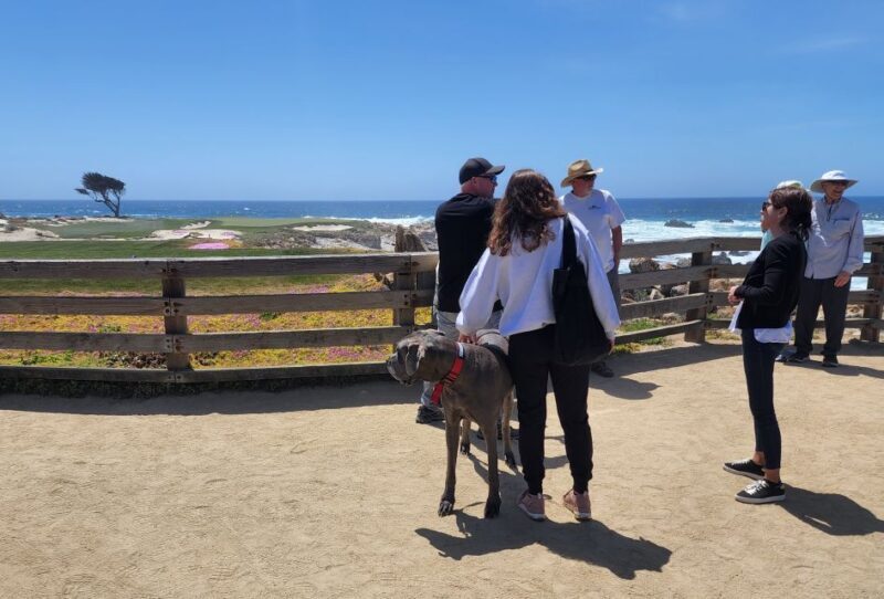 San Francisco: Private Monterey Aquarium 17 Mile Carmel - Who Should Consider This Tour?