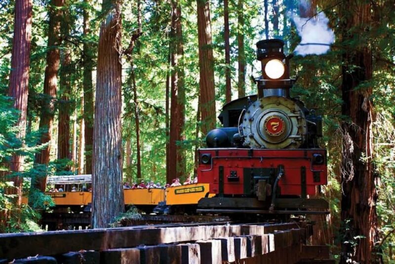 San Francisco: Redwood Forest & Santa Cruz Harbor 1-Day Trip - Key Points