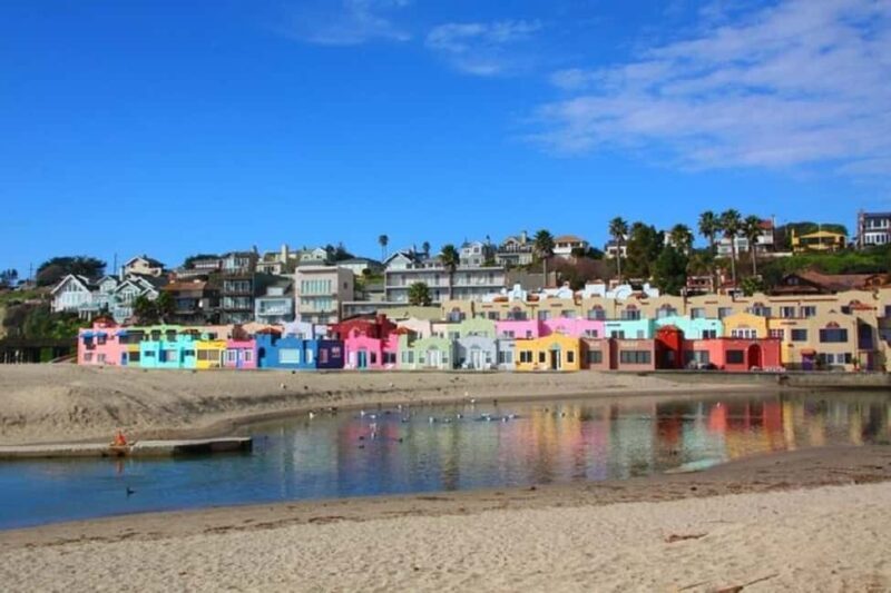 San Francisco: Redwood Forest & Santa Cruz Harbor 1-Day Trip - An Overview of the Day
