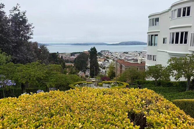 San Francisco, Redwoods & Sausalito: A Scenic Small-Group Escape - Authentic Experiences and Tips