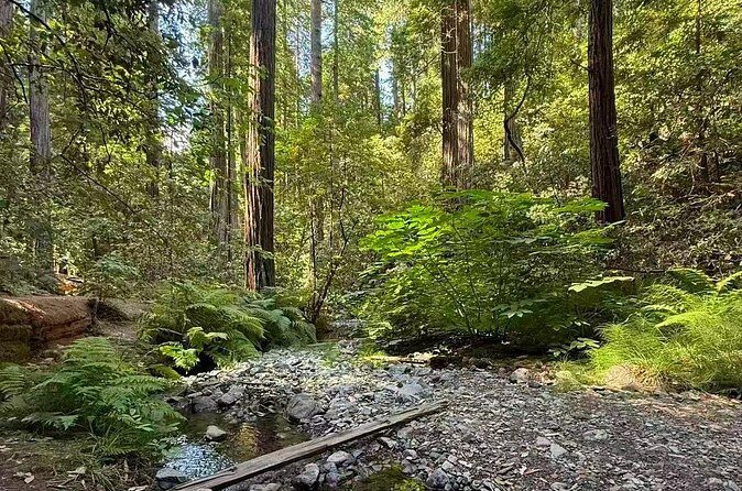 San Francisco, Redwoods & Sausalito: A Scenic Small-Group Escape - FAQs