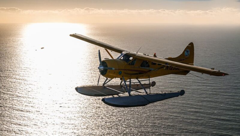 San Francisco: Seaplane Flight with Champagne - An Elevated Way to See San Francisco