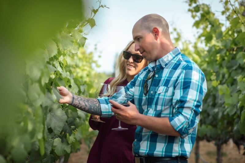 San Francisco: Sonoma Wine Country Tour with Tastings - Discovering Sonoma Wine Country: An Honest Look at the San Francisco Tour