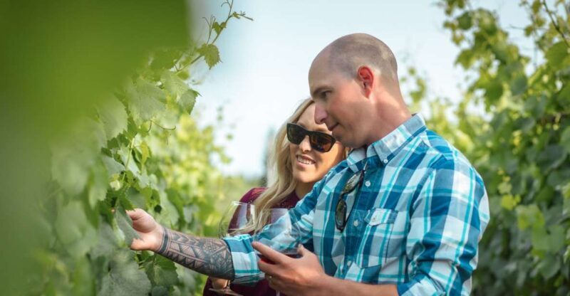San Francisco: Sonoma Wine Country Tour with Tastings - Who Will Love This Tour?