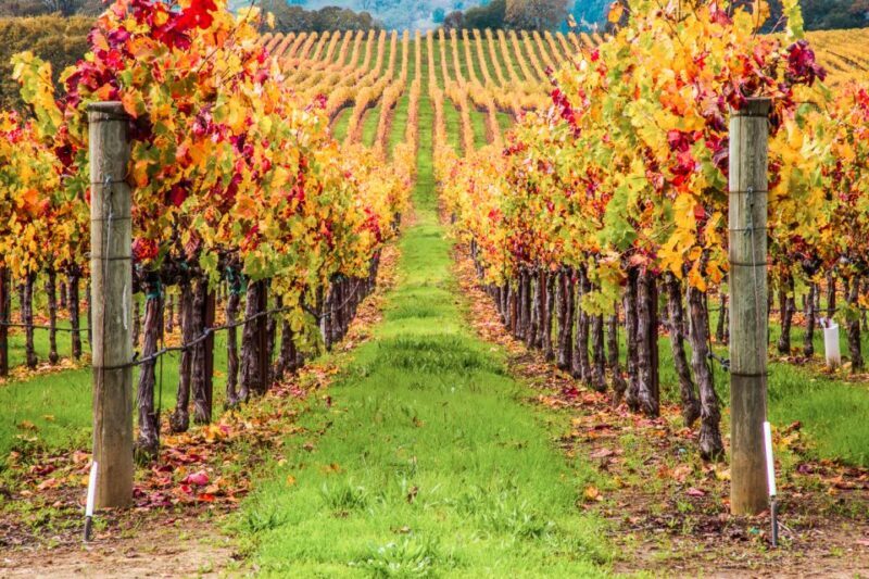 San Francisco: Sonoma Wine Country Tour with Tastings - FAQs