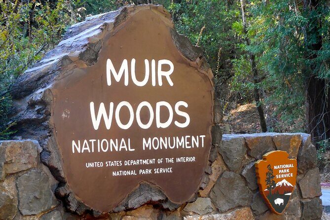 San Francisco to Muir Woods Cycling Tour - Deep Dive into the Experience