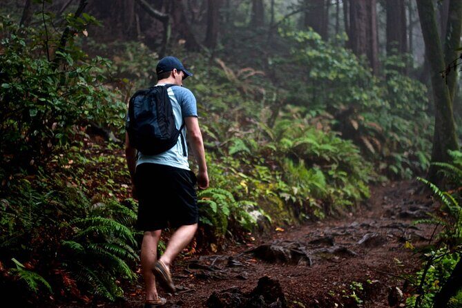 San Francisco to Muir Woods Shuttle - The Sum Up: Who Is This Tour Best For?