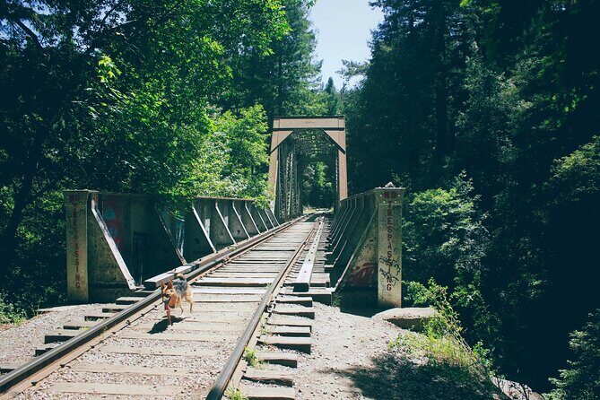 San Francisco to Santa Cruz Day Trip: Redwoods and Beach Fun - Exploring the Itinerary in Detail