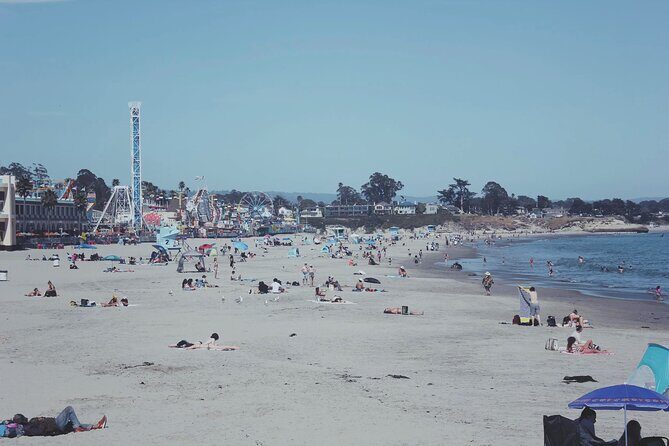 San Francisco to Santa Cruz Day Trip: Redwoods and Beach Fun - Final Words