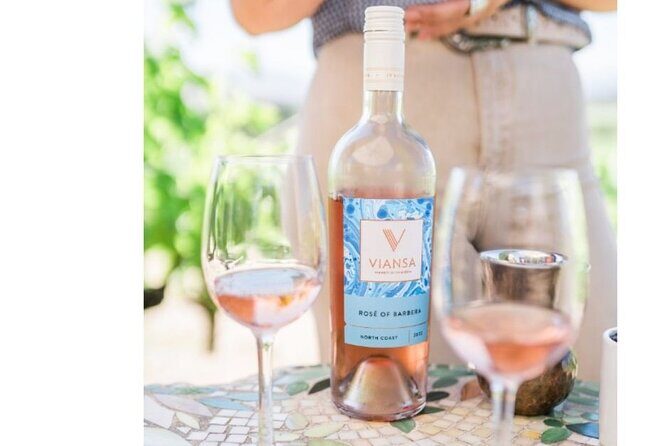 San Francisco to Sonoma Private 6 Hour Wine Tour - up to 4 guests - Key Points