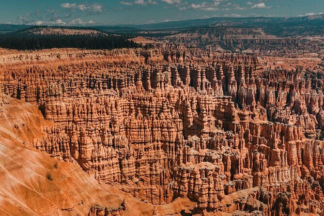 San Francisco to Yellowstone and Las Vegas 7-Day Tour - The Grand Canyon and Las Vegas