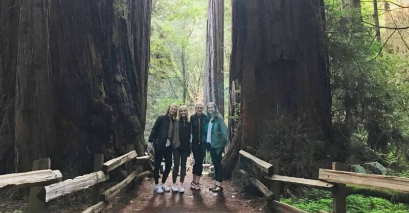 San Francisco Tour to Muir Woods Giant Redwoods & Sausalito - A Close Look at the Itinerary