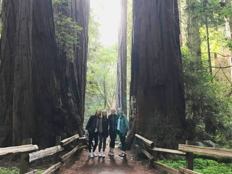 San Francisco Tour to Muir Woods Giant Redwoods & Sausalito - The Value of Going Guided in a Jeep