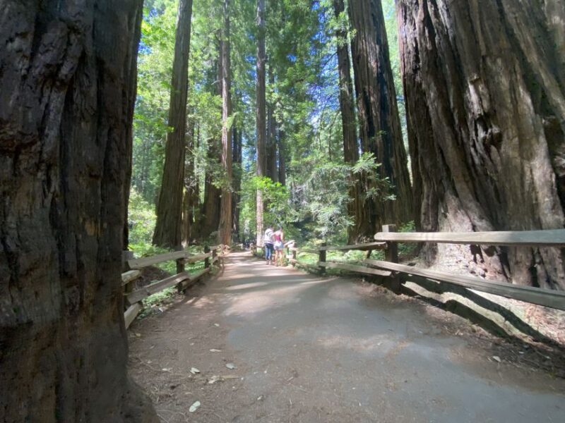 San Francisco Tour to Muir Woods Giant Redwoods & Sausalito - Who Should Consider This Tour?
