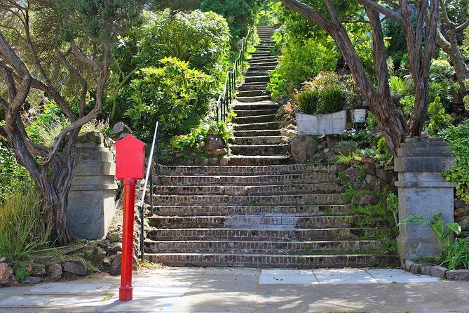 San Francisco Urban Hike: Castro and Twin Peaks - A Walk Through the Heart of San Francisco