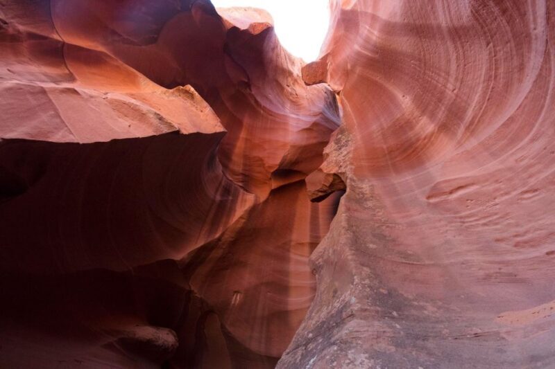 San Francisco: Yosemite, Las Vegas, Bryce & Zion, 6-Day Tour - Key Points
