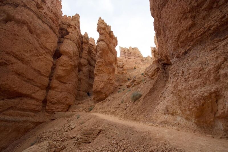 San Francisco: Yosemite, Las Vegas, Bryce & Zion, 6-Day Tour - Who Will Love This Tour?