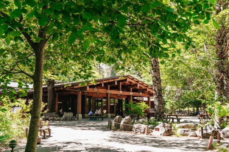 San Francisco: Yosemite National Park & Giant Sequoias Hike - Key Points