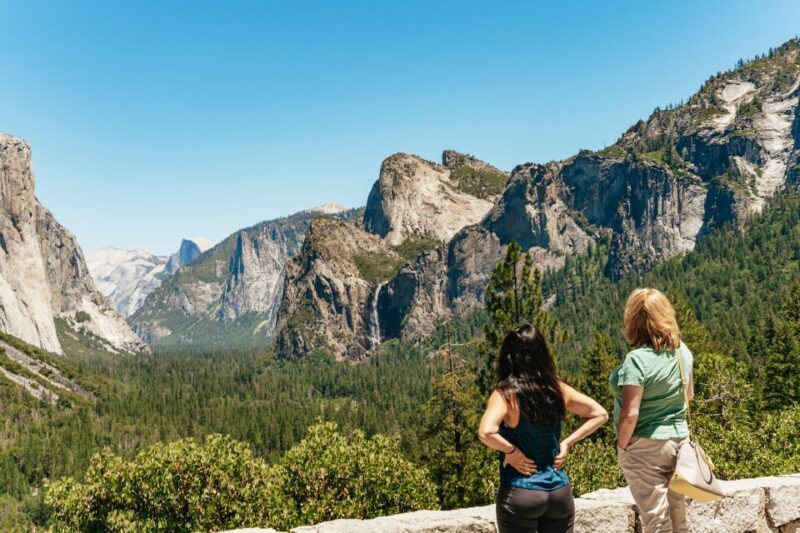 San Francisco: Yosemite National Park & Giant Sequoias Hike - The Overall Experience